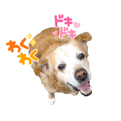 Y.D.Miggy_Fairy Tale – LINE stickers | LINE STORE