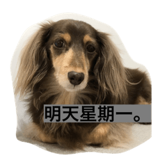 Yang hsi_20211201225956 – LINE stickers | LINE STORE