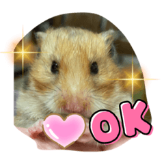 Lily Kao_20211203072020 – LINE stickers | LINE STORE