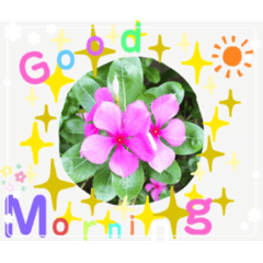 Good Morning #2 – LINE stickers | LINE STORE