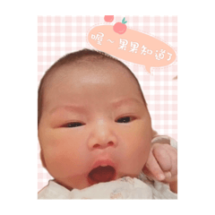 Lin Yi fan_20211205151703 – LINE stickers | LINE STORE