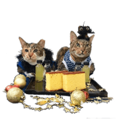 KWSS Part 2 - Stiker LINE | LINE STORE