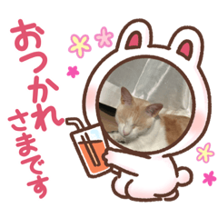 Ecr_20211210000803 – LINE stickers | LINE STORE