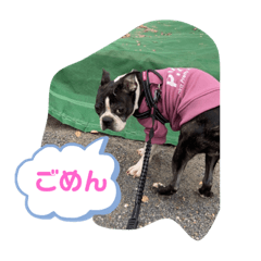 nomoty_20211209225148 – LINE stickers | LINE STORE