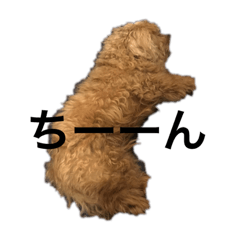 ryu segawa_20211211140030 – Stickers LINE | LINE STORE