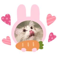 Layla_20211215004711 – LINE stickers | LINE STORE
