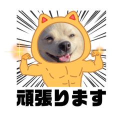 monmon的LINE貼圖＆表情貼 | LINE STORE