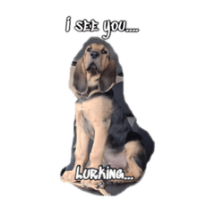 Red Dawg - Stiker LINE | LINE STORE