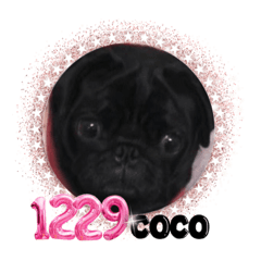 Jura_20211226232947 - Stiker LINE | LINE STORE