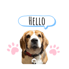 My lovely dory - LINE スタンプ | LINE STORE