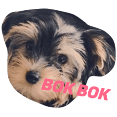 Ani & Puppy Bouquet – LINE stickers | LINE STORE