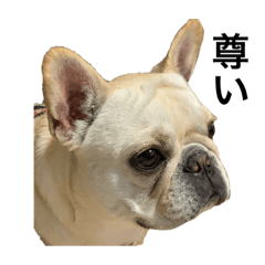 cute dog chikuwa – LINE貼圖 | LINE STORE