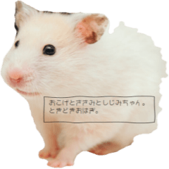 OKOGE+SASAMI+SHIJIMItokidokiOHAGI. – LINE stickers | LINE STORE