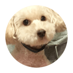 Yama_20220109141644 - Stiker LINE | LINE STORE