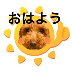 Hina_20220114141901 - Stiker LINE | LINE STORE