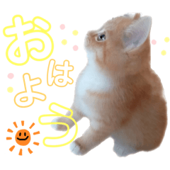 tan_ai_20220121232318 – LINE stickers | LINE STORE