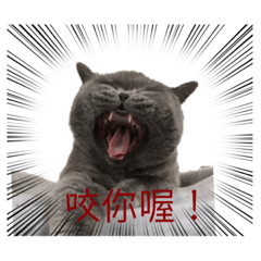 Yoman_20220129191659 – LINE stickers | LINE STORE
