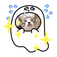 Mimi meow meow - LINE スタンプ | LINE STORE