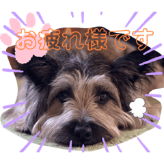 msk_20220206161930 – Stickers LINE | LINE STORE