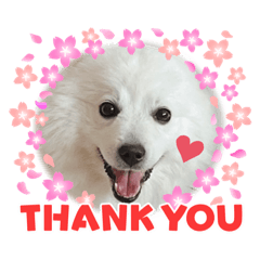 Kelly hehe_20220207183836 – LINE stickers | LINE STORE