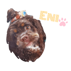 ENI_20220214230242 - Stiker LINE | LINE STORE