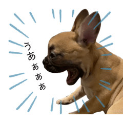 MuuHa_20220217062337 – LINE stickers | LINE STORE