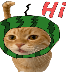Cute JIMMY Su – LINE stickers | LINE STORE