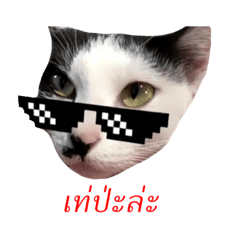 RINNY_20220218224312 – LINE stickers | LINE STORE