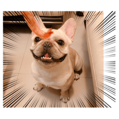 Lin YAN ZE_20220219095319 – LINE 스티커 | LINE STORE