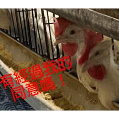 Kuan Chang_20220219161904 – LINE stickers | LINE STORE