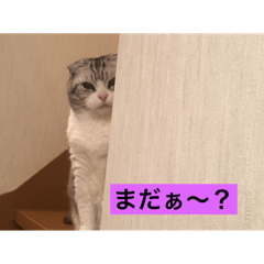 kota_20220219201312 – LINE stickers | LINE STORE