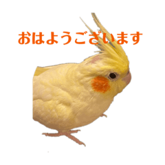 sinanon_20220219182159 – Stickers LINE | LINE STORE