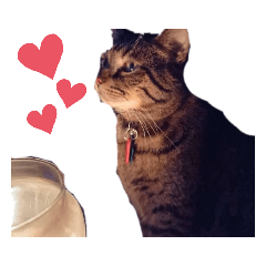 Token Friends 2 – LINE stickers | LINE STORE