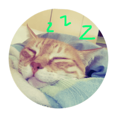 Rae_20220222164906 – LINE stickers | LINE STORE