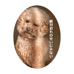 Ayaka_20220223170015 – LINE stickers | LINE STORE