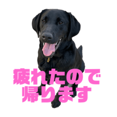 REITO_20220224214322 – LINE stickers | LINE STORE