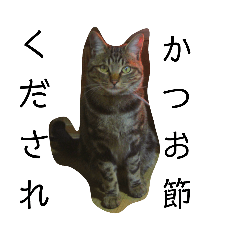 sisimaru_20220225163400 – LINE stickers | LINE STORE