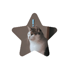 Easy-to-use cat stamp! - Stiker LINE | LINE STORE