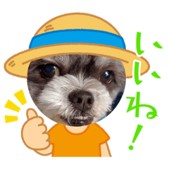 mamu_20220301210856 – LINE 스티커 | LINE STORE