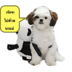 Wxxwxx_20220303134156 – LINE stickers | LINE STORE