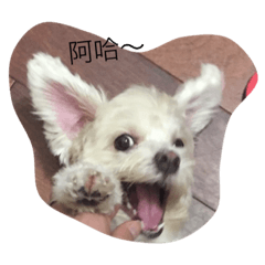 A dog dog - Stiker LINE | LINE STORE