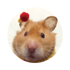 Da Shu Shu – LINE stickers | LINE STORE