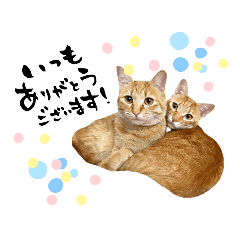 RIKOLO_20220310155255 – LINE stickers | LINE STORE