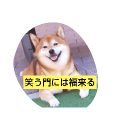 KEITO ERIKA_20220315130808 – LINE貼圖 | LINE STORE