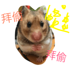 Chu life – Stickers LINE | LINE STORE