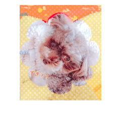 love.......Dogs - Stiker LINE | LINE STORE