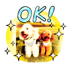 Momo tarou & Barroch Maron – LINE stickers | LINE STORE