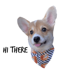 Shabu Babu V1 – LINE stickers | LINE STORE