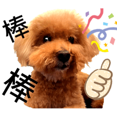 Lin Rui Jie_20220316145957 - Stiker LINE | LINE STORE