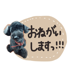 saki_20220316214203 - Stiker LINE | LINE STORE